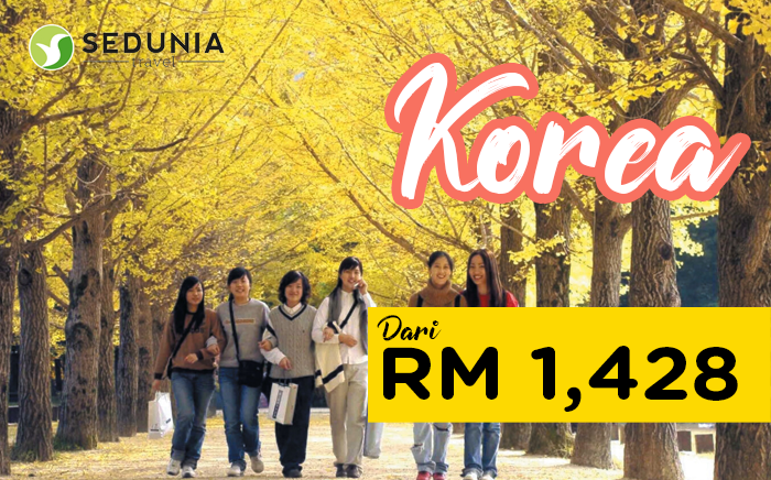 Percutian Indah Seoul 5H4M | Gempak