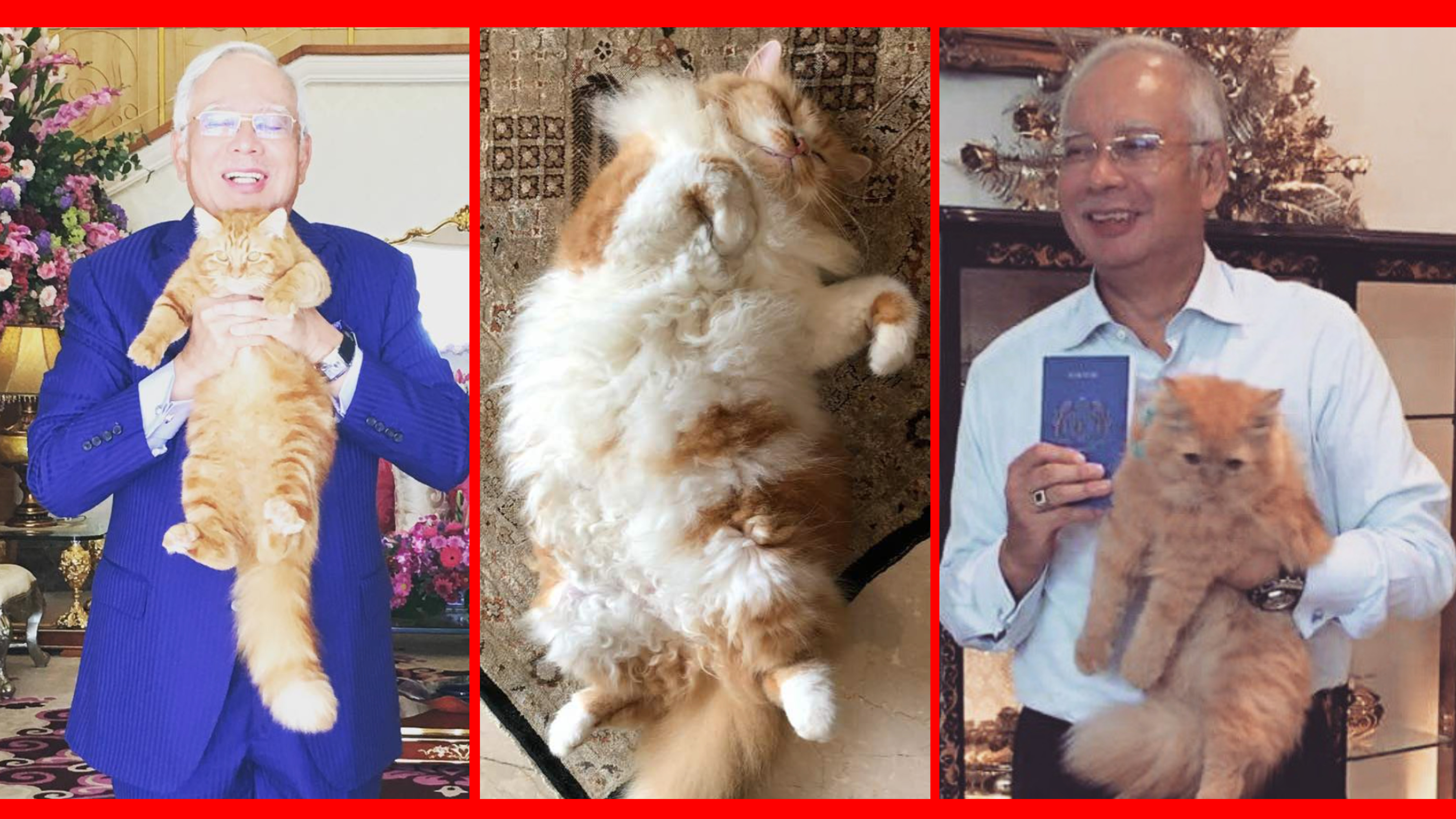 Datuk Seri NAJIB RAZAK Cuma Follow 29 Akaun Instagram — Salah Satunya ...