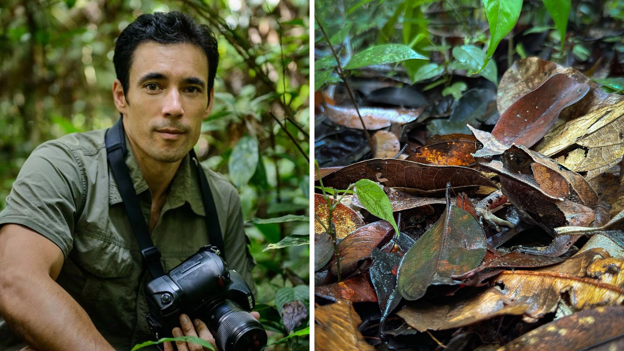 Apple’s Commissioned Photography Project Puts Malaysian Wildlife in Global Spotlight
