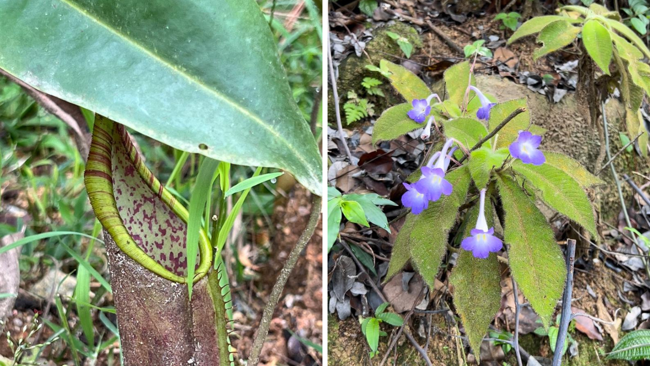 Resorts World Awana Reimagined: Three New Attractions You Should Check ...