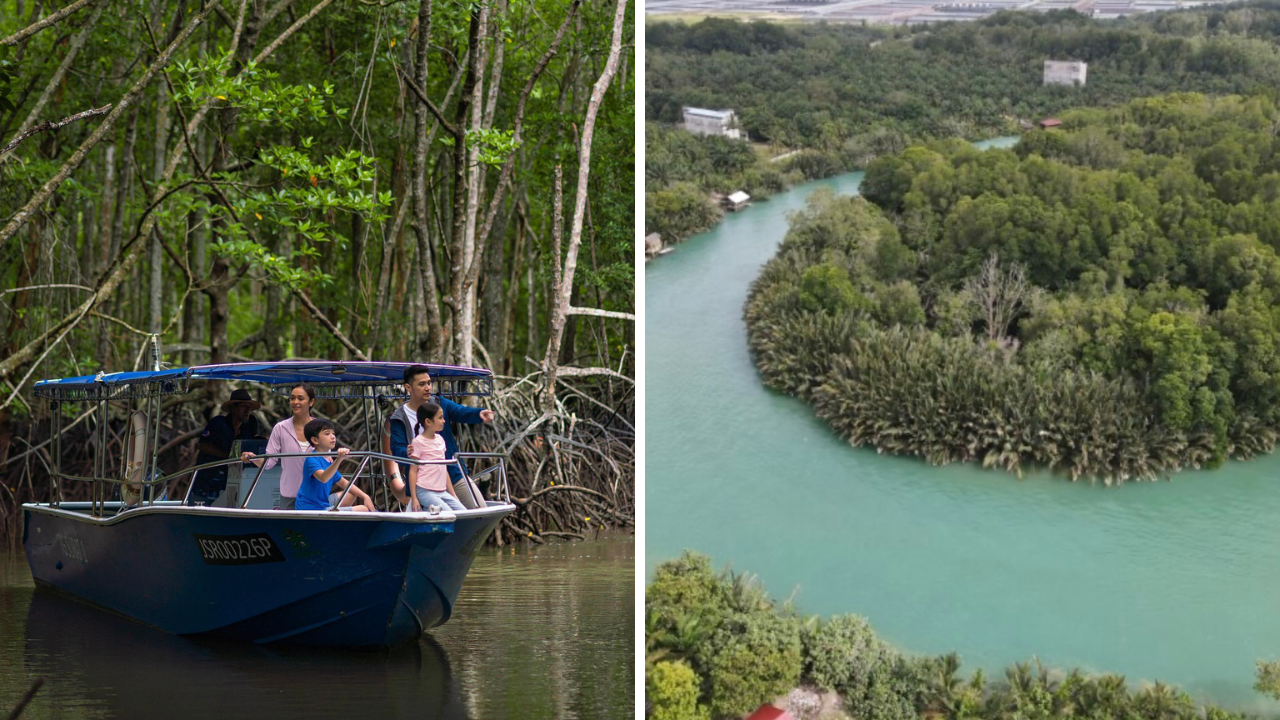 10 Exciting Things To Do in Desaru Coast