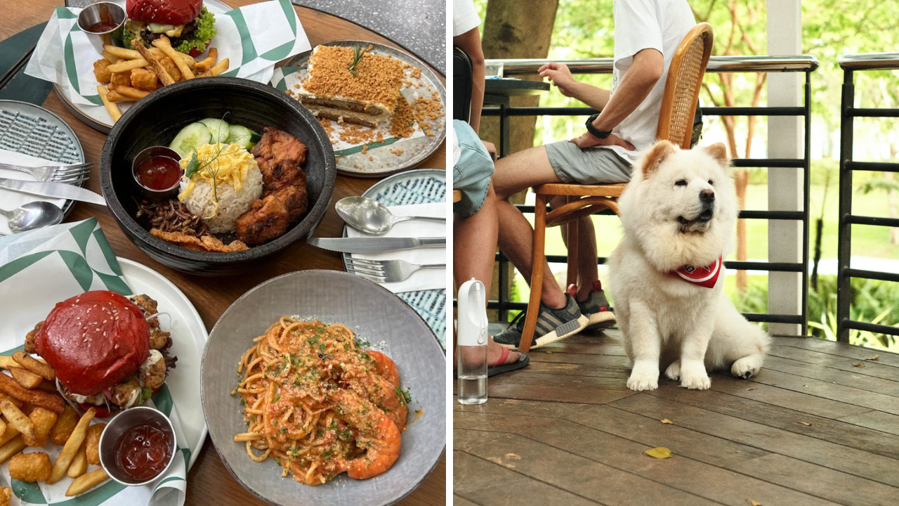 V88 By The Park: An Ideal Cafe for Pet Parents at Desa Park City