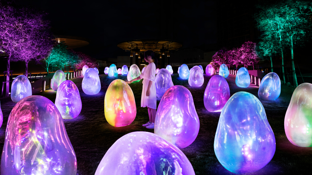 Go On an Adventure of Light & Colour with teamLab’s Free Mesmerising ...