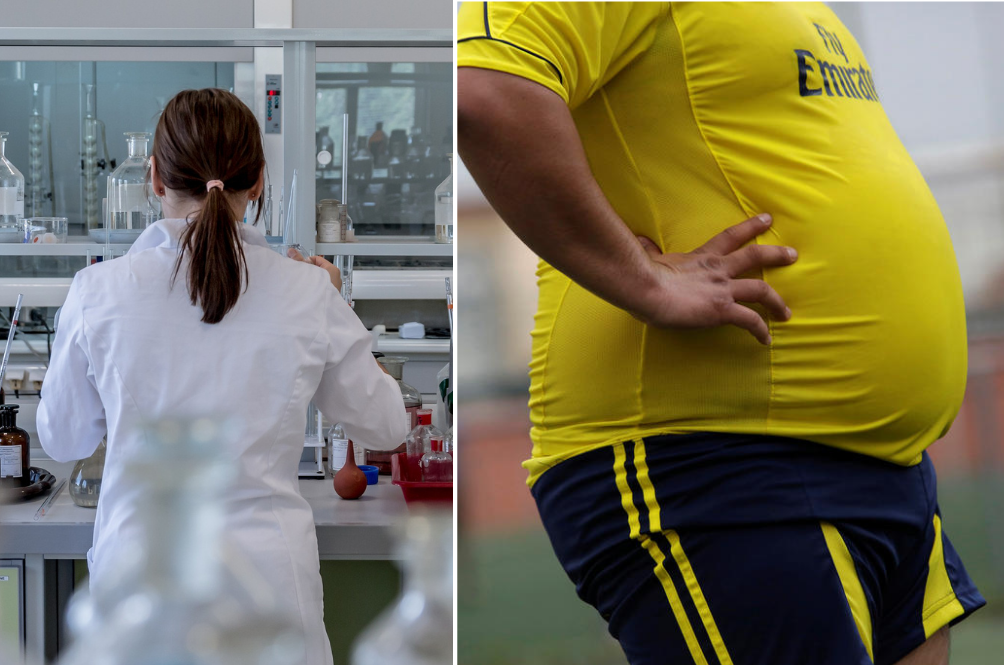 US Scientists Have Apparently Discovered A Way To Convert Body Fat To ...