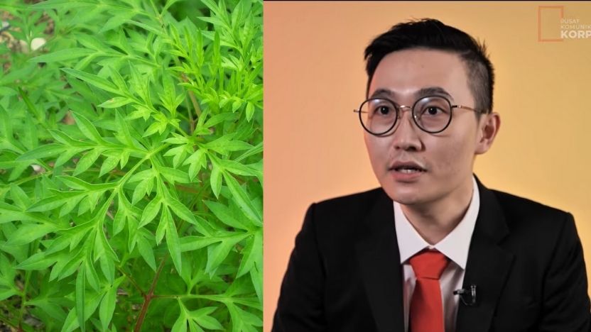 UKM Researcher Turns 'Ulam Raja' Into Supplement That Can Help Prevent ...