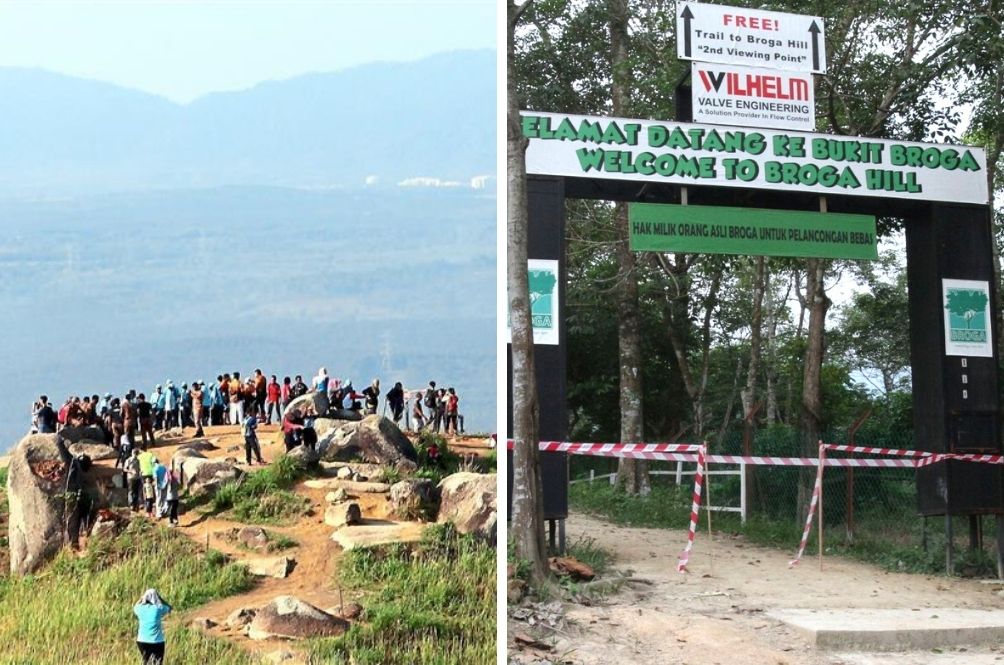 Article related to broga | RojakDaily