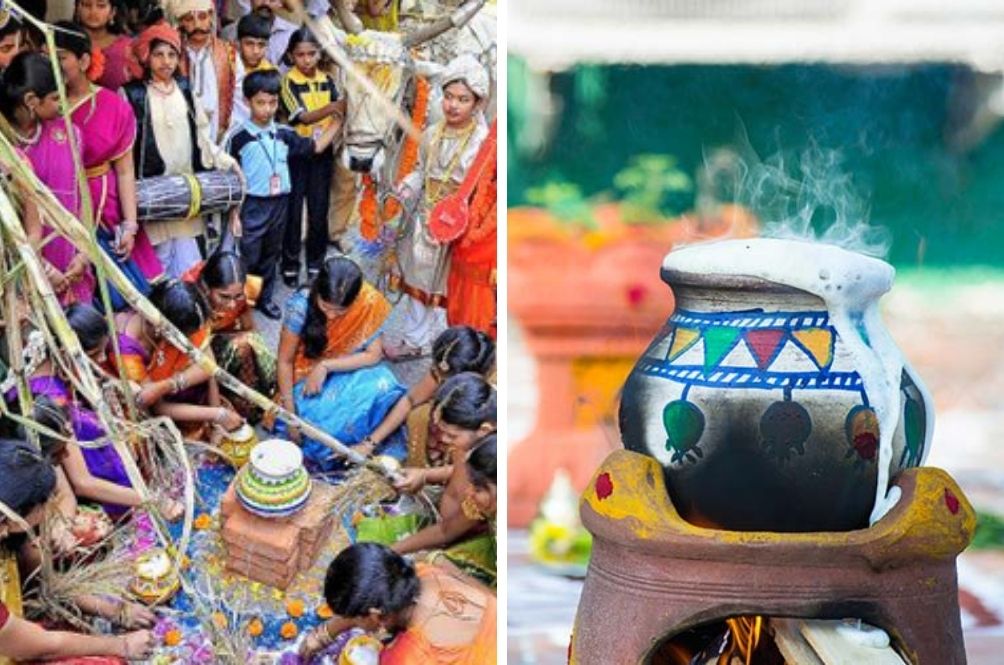 Pongal Oh Pongal! Here's What You Should Know About This Four-Day Tamil ...