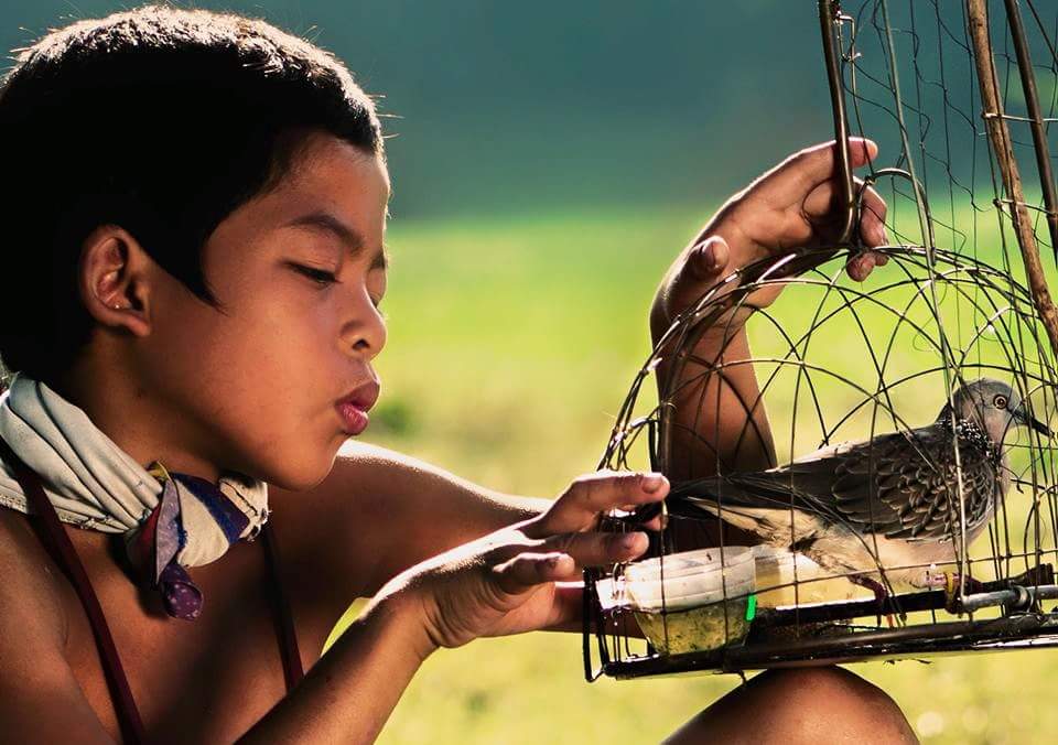 Fotogenik Teruk! Rupanya Bukan Kerbau Je, Banyak Lagi Gambar 'Syukor ...