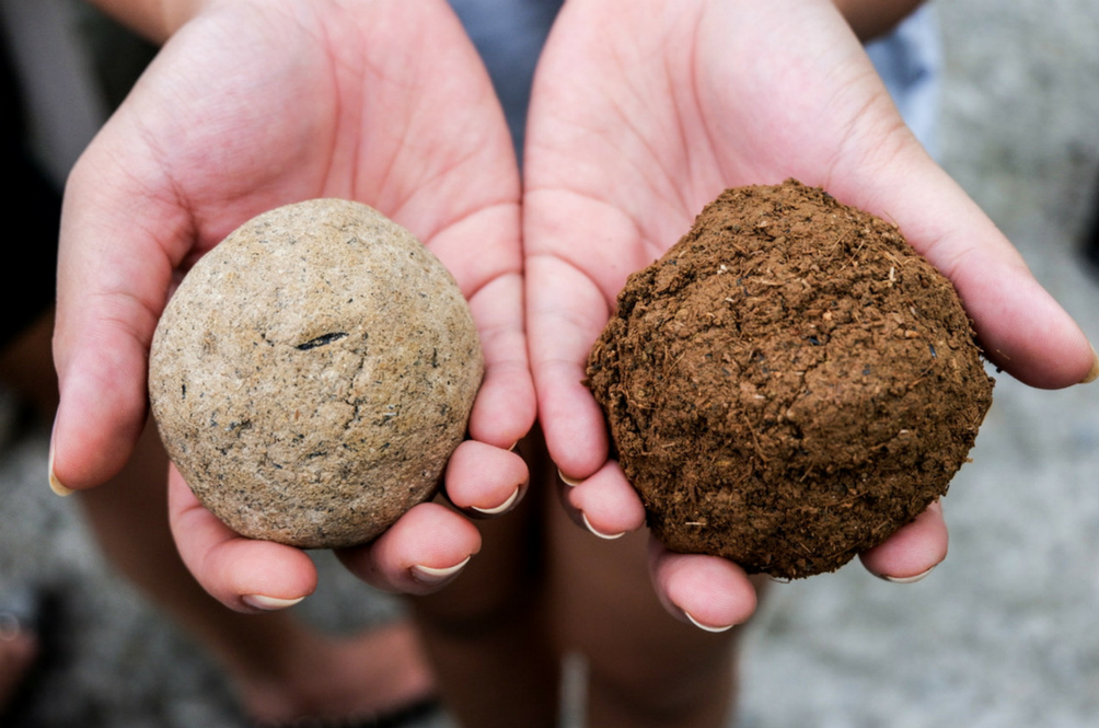 These Form Five Students Found A Way To Treat Polluted Water