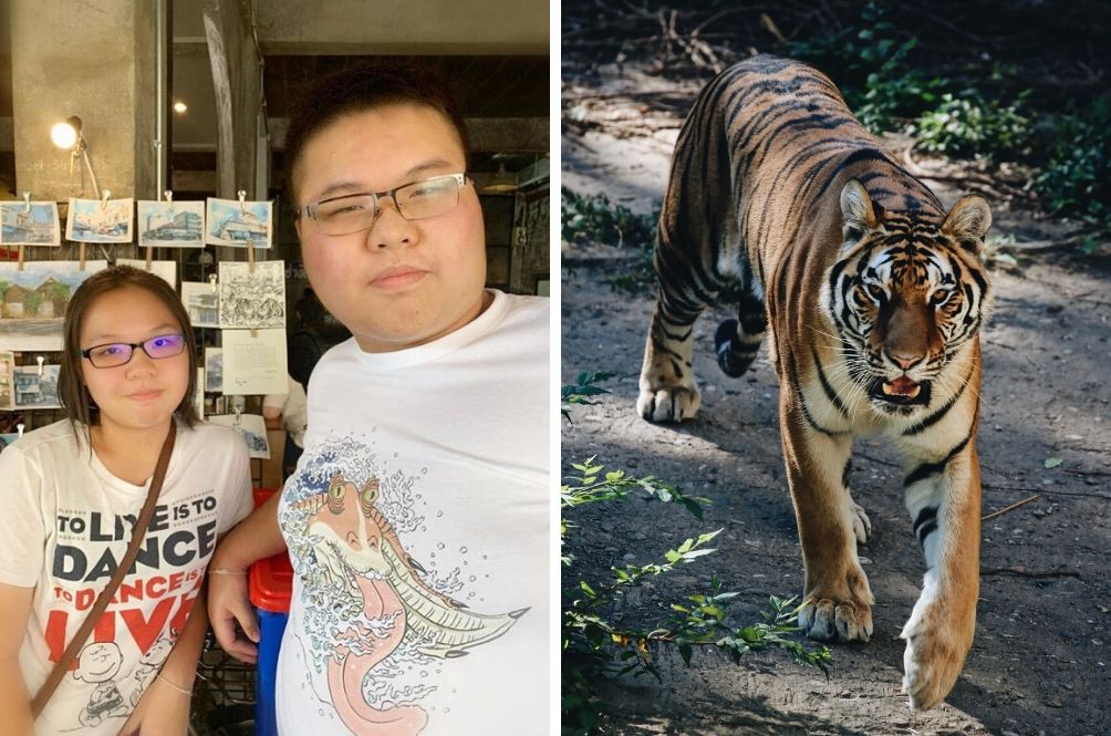A Roaring Initiative: Teenage Siblings Raise Awareness On Endangered Tigers