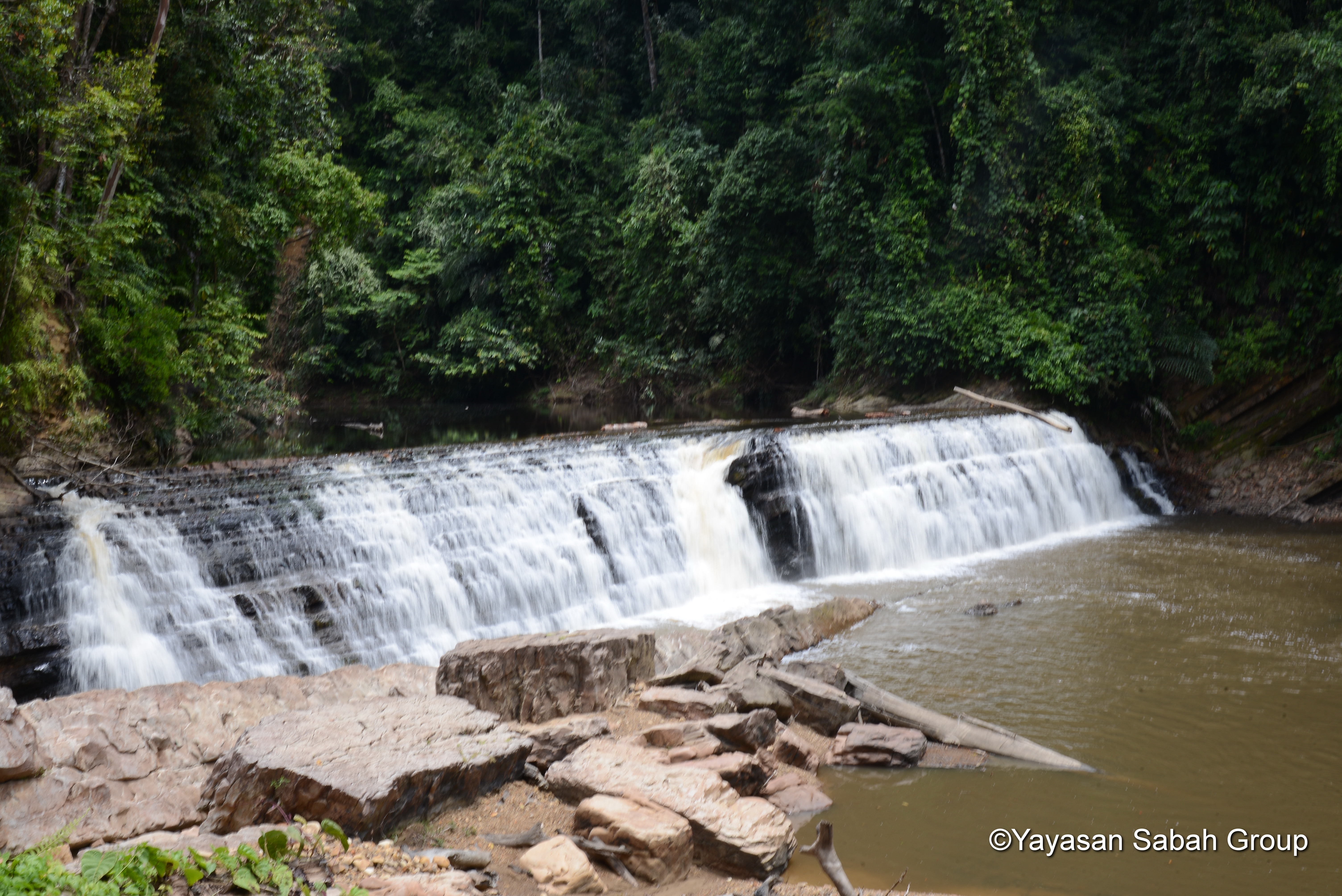 We Spent Four Days Living In A Virgin Rainforest In Sabah | Gempak