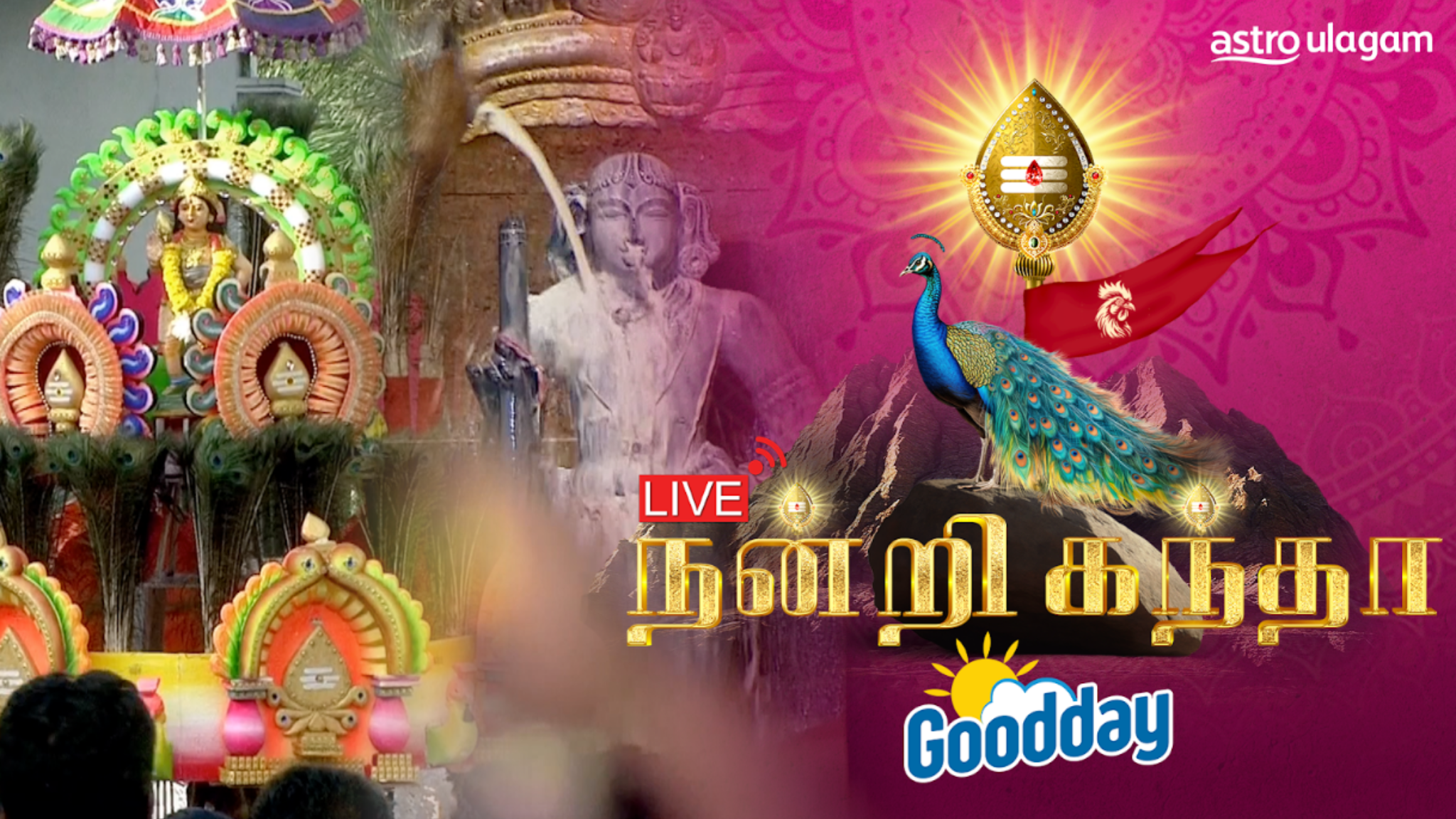 Missed Thaipusam 2024 Live? Watch The 24-Hour Coverage on Astro Ulagam ...