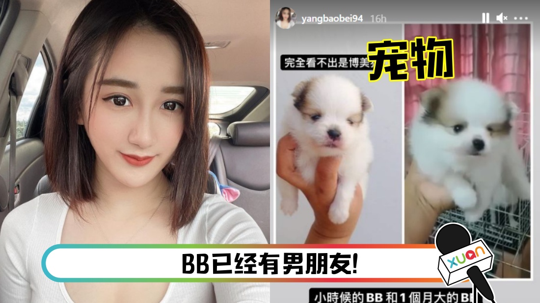 YBB养狗...取名BB！心情变开朗“狗比人更忠诚” | XUAN