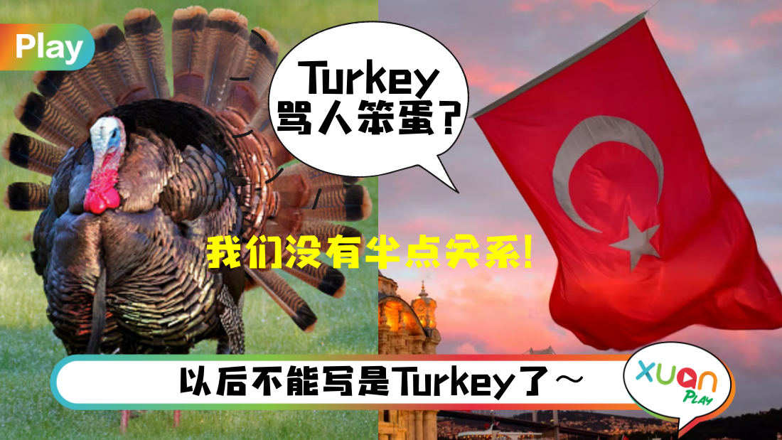 科普｜不想和火鸡同名了！土耳其成功正式改名成「这个」！ | XUAN