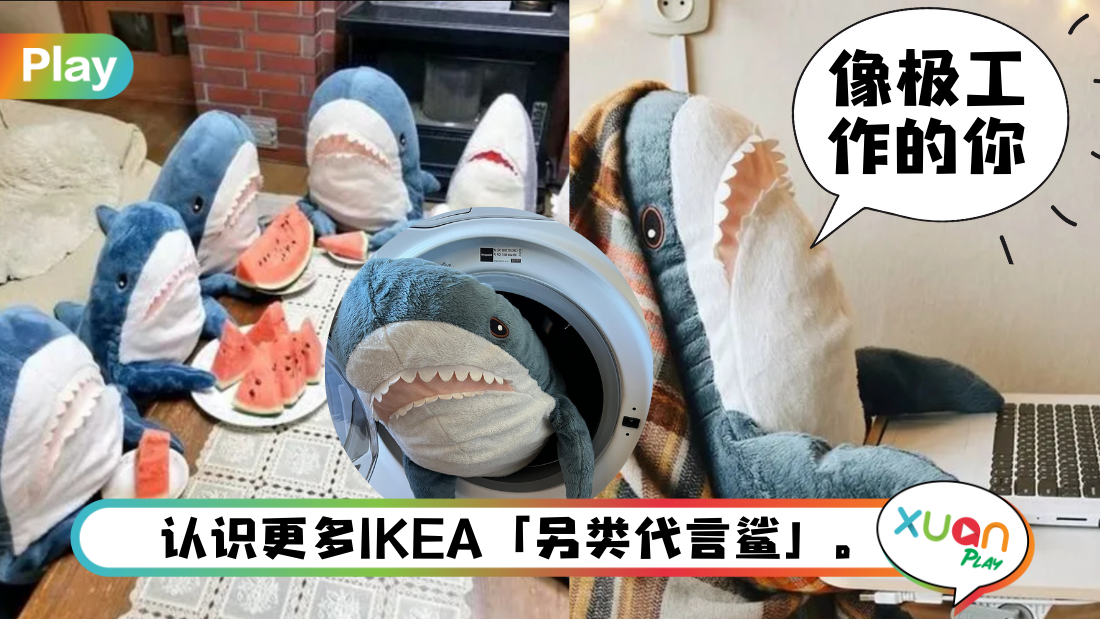 科普｜超人气IKEA鲨鱼本名你懂不懂？4个关于鲨鲨的冷知识！ | XUAN