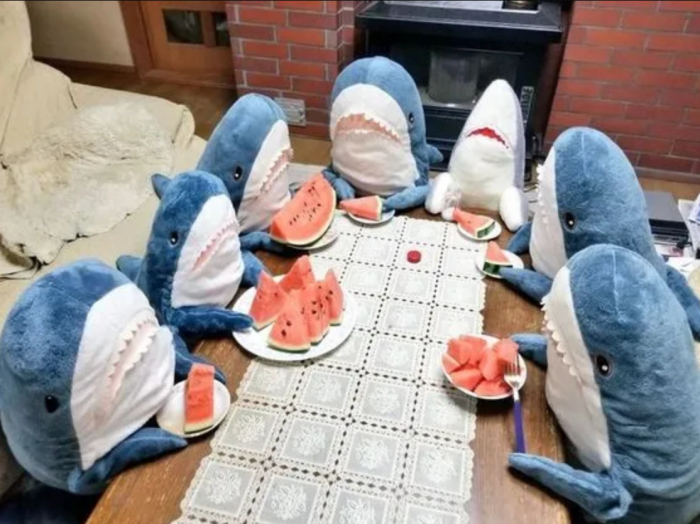 科普｜超人气IKEA鲨鱼本名你懂不懂？4个关于鲨鲨的冷知识！ | XUAN