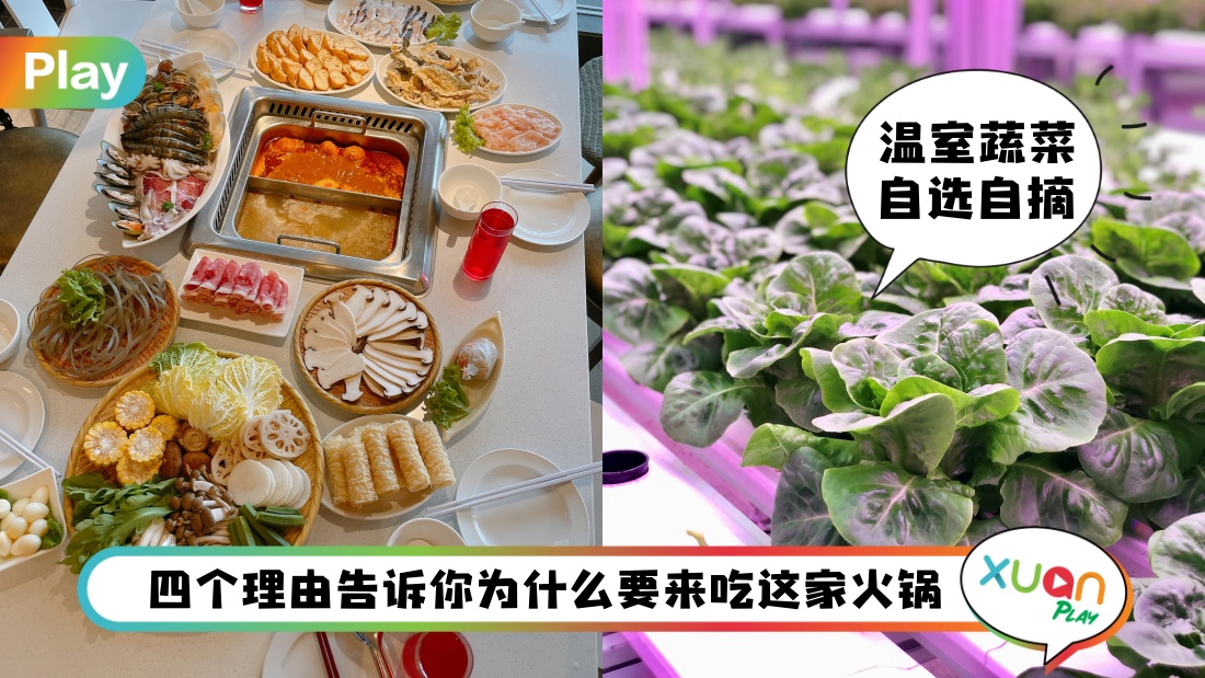 美食 I Awana Garden Hot Pot自摘蔬菜火锅！食材新鲜到不要不要！ | XUAN