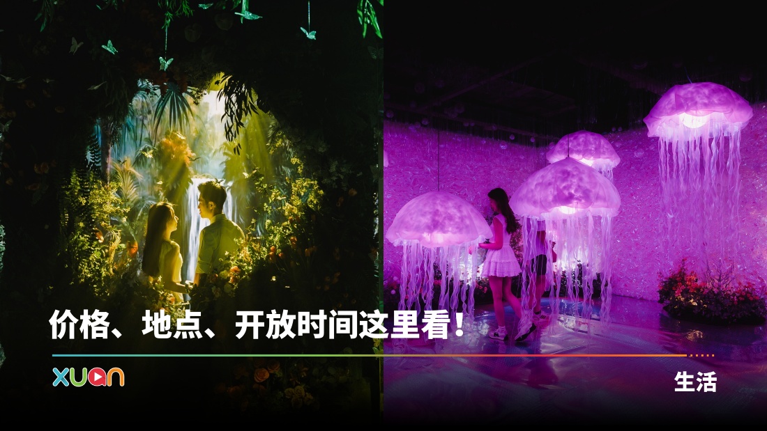 旅游｜抢先看！槟城首个沉浸式艺术展 《D Adventurous Project》 | XUAN